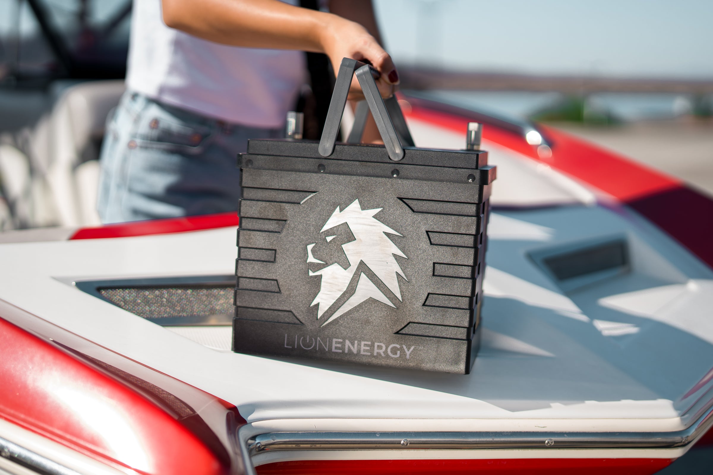 Lion Energy - Your Life. Your Power. Your Way.